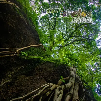 Chimalacatlán: Testimonio Megalítico en la Sierra de Huautla