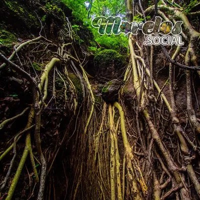 Chimalacatlán: Testimonio Megalítico en la Sierra de Huautla